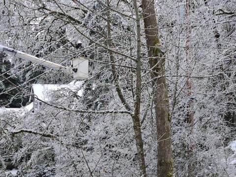 2024 January Ice Storm, Springfield, Oregon - YouTube