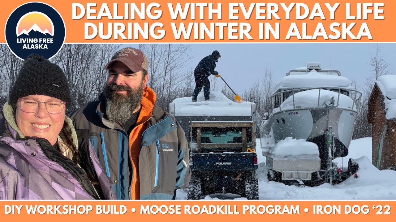 Everyday Life in the Middle of the Winter in Alaska [February 2022 ...