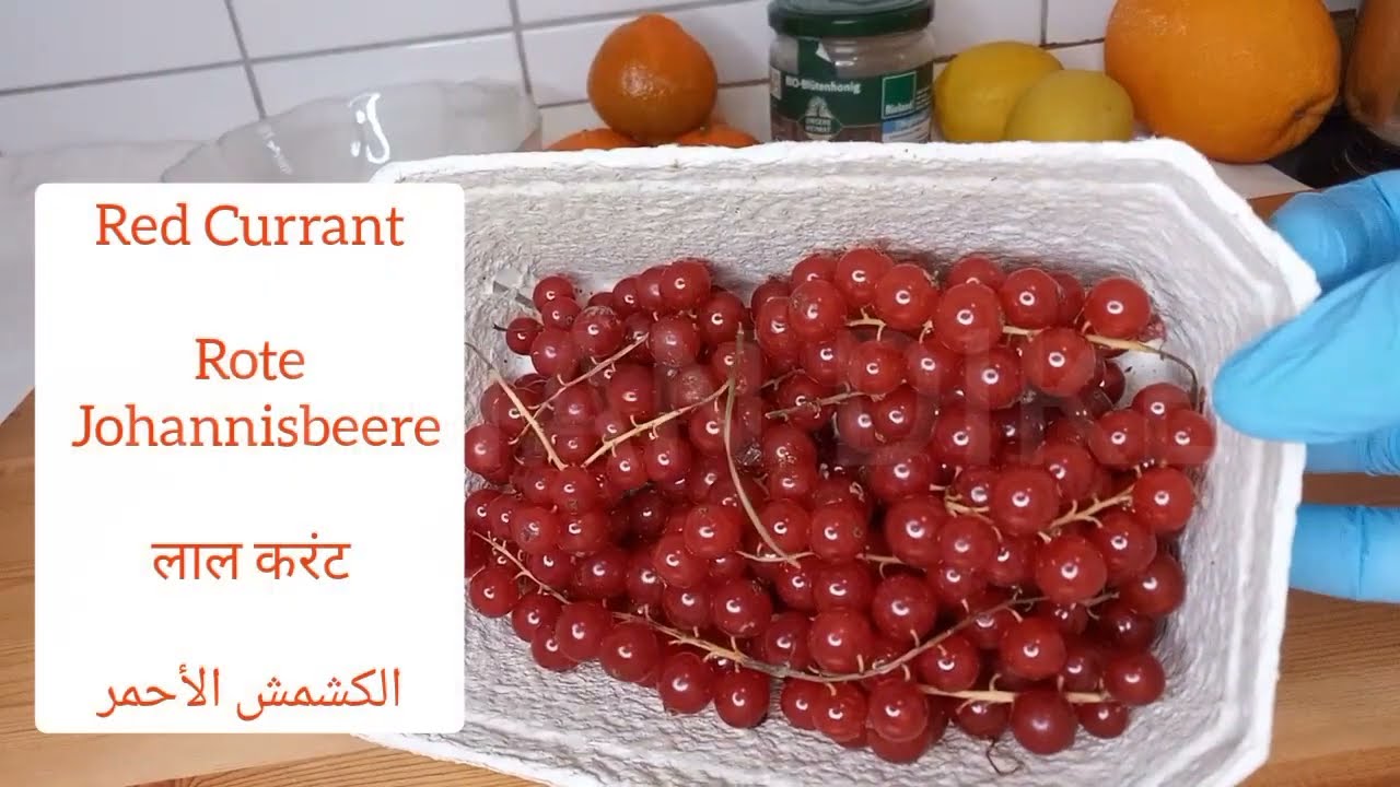 RED CURRANT JUICE FOR LONG LIFE. - YouTube