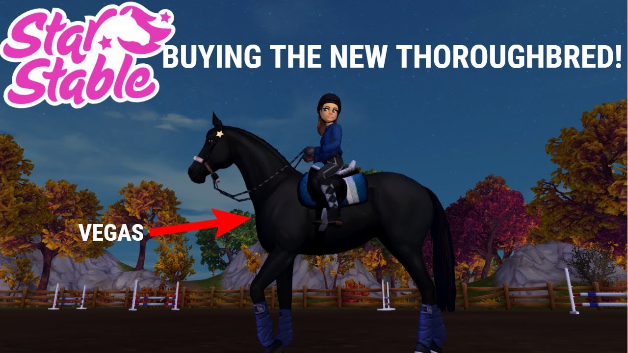 Buying the NEW English Thoroughbred I Star Stable Online - YouTube