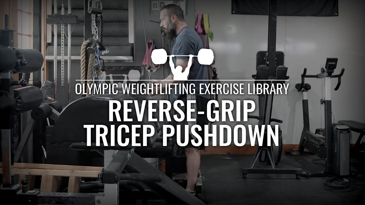 Reverse-Grip Tricep Pushdown | Olympic Weightlifting Exercise Library - YouTube