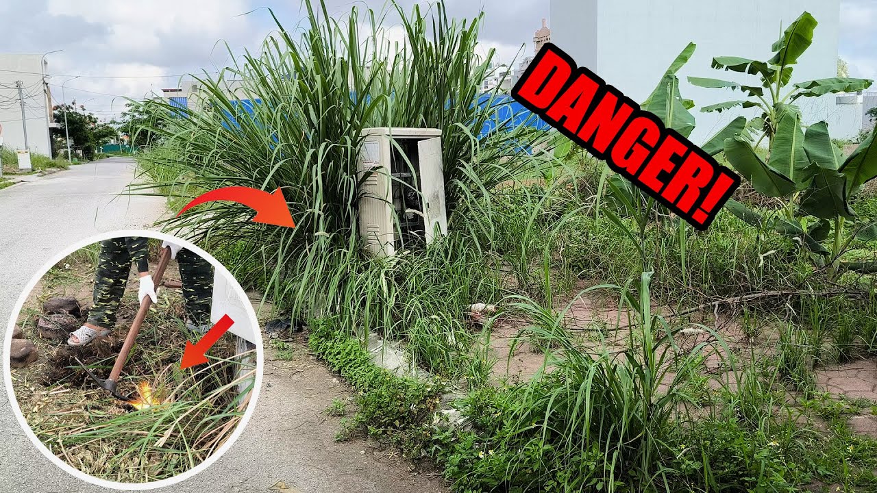 Horror as Danger Hidden Under Overgrown Grass Discovered While Cleaning ...