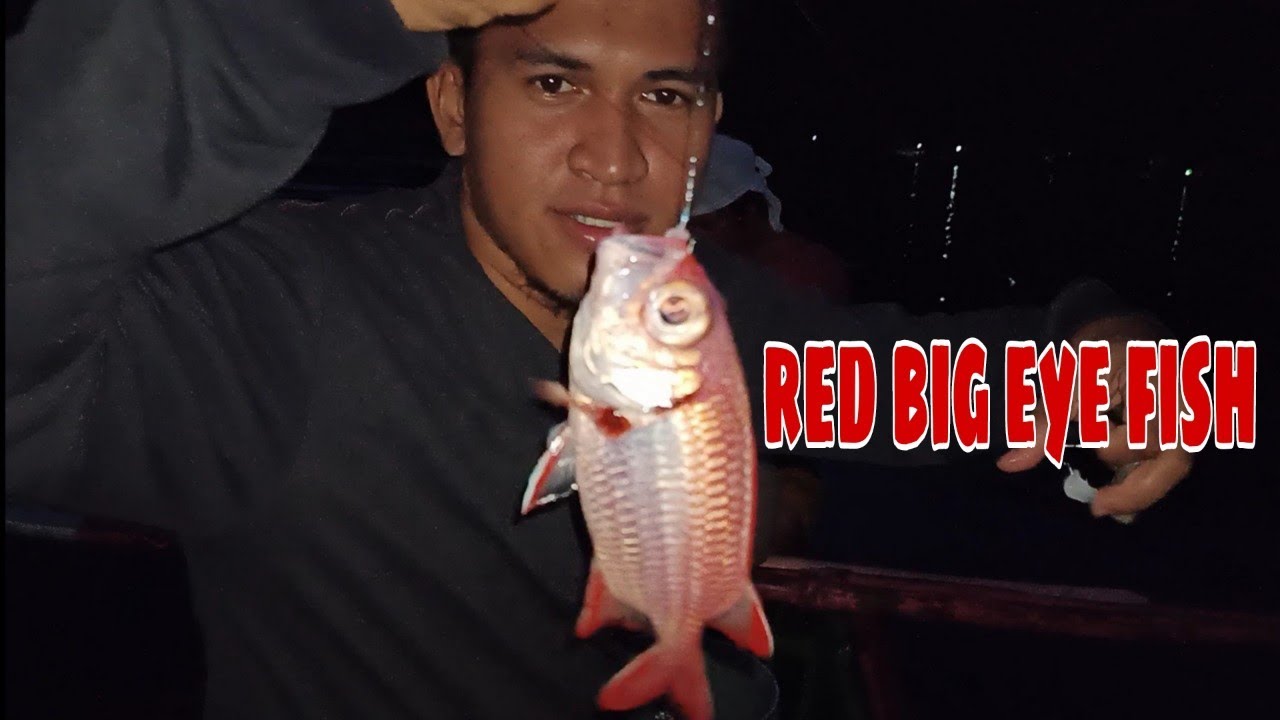 PAMINGWIT NG SARI SARING ISDA | TRADITIONAL HANDLINE FISHING | PASOL ...