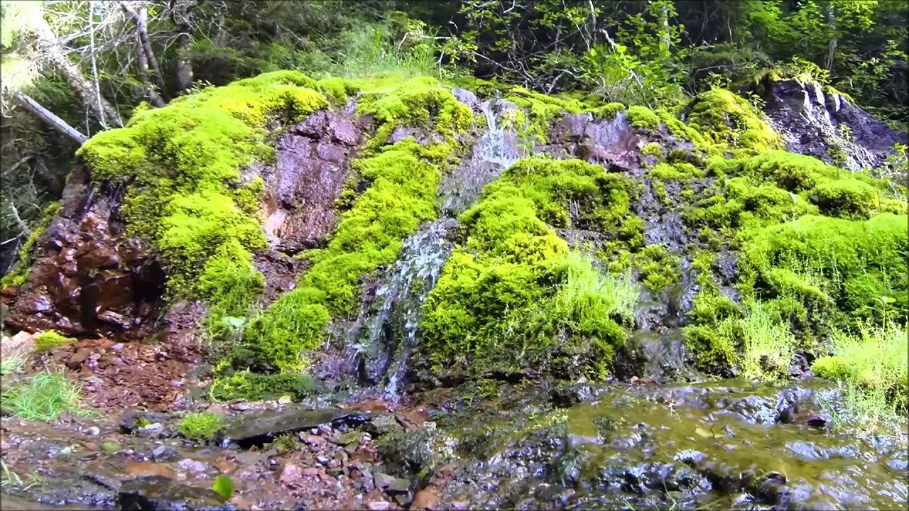 Keel Springs (kent County, New Brunswick, Canada) - YouTube