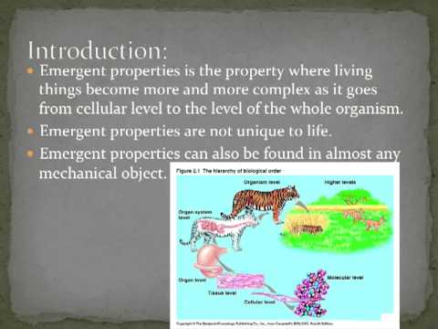 Emergent Properties - YouTube