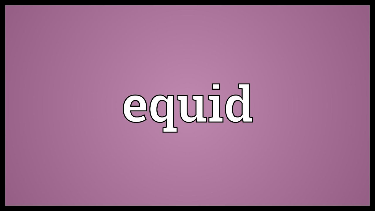 Equid Meaning - YouTube