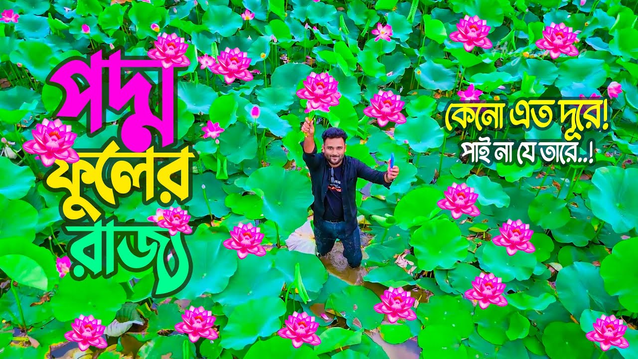 Lotus FLower Hunting | Keno Eto Dure Pai na Je Tare | Tomar oi hasi ajo ...
