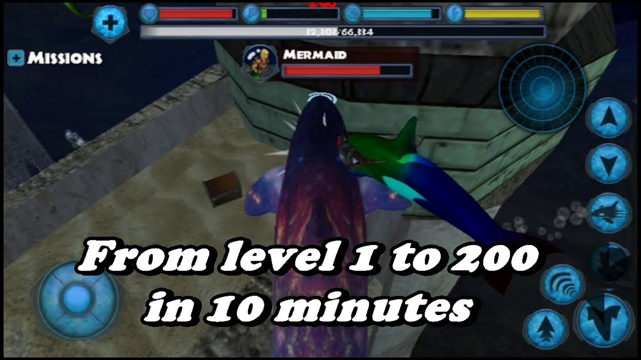 Orca Simulator Gameplay - How to Level Up Fast (level 1 - 200) - YouTube