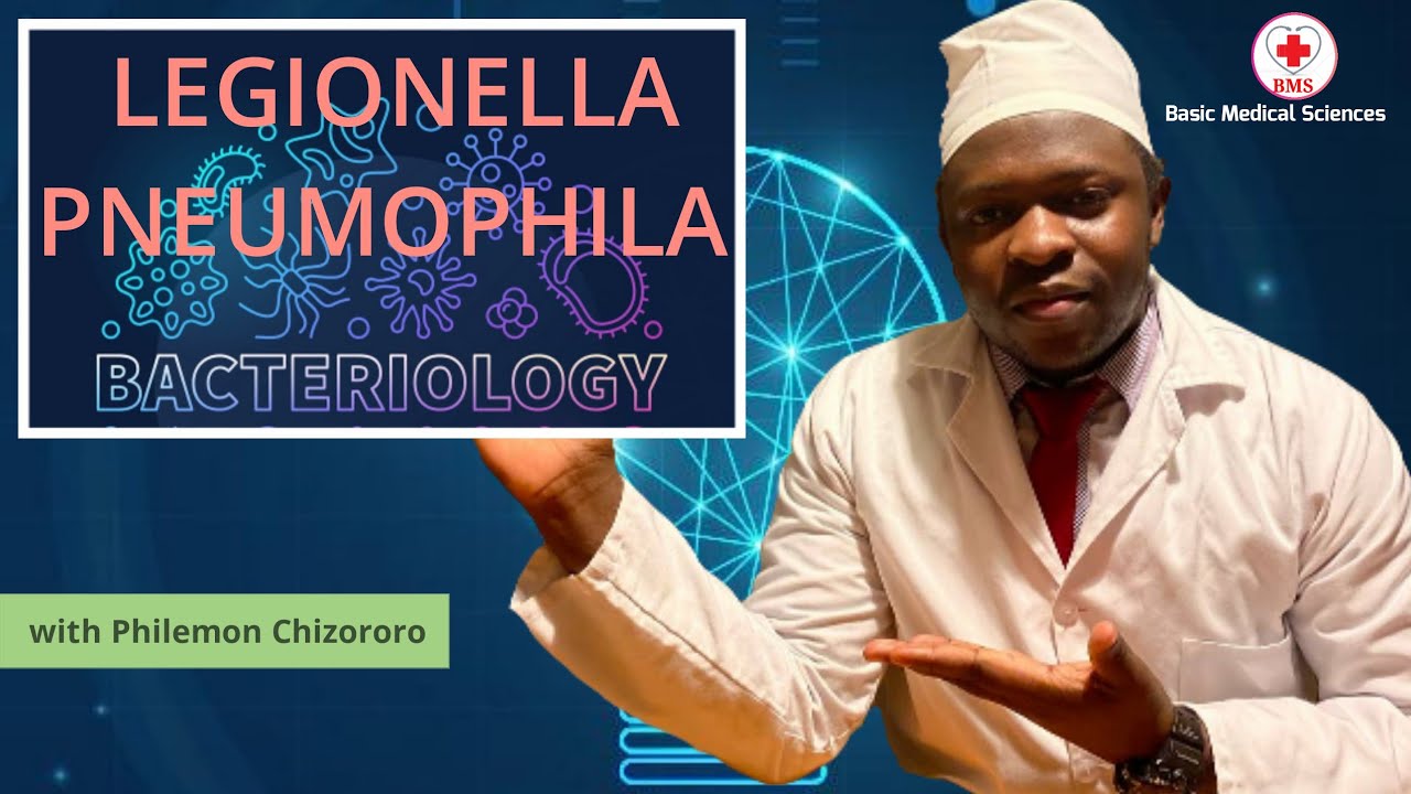 Legionella pneumophila (Legionnaires' disease and Pontiac fever) - YouTube