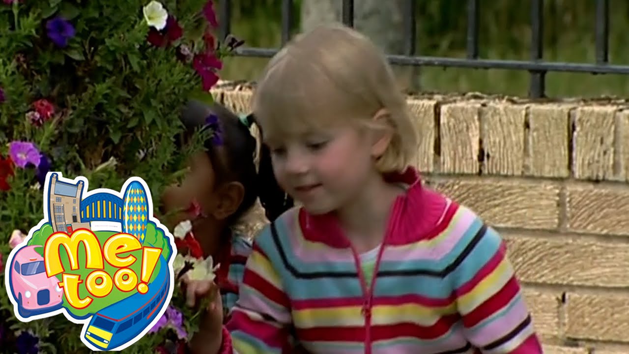 @MeTooOfficialTVShow - Smelling of Roses | Full Episode | TV Shows for ...