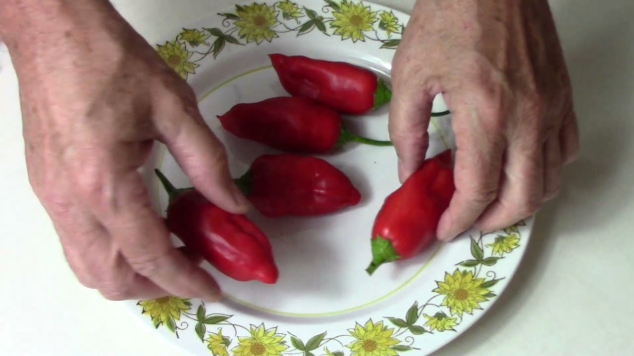 Aji Rico Hot Pepper Taste Test - YouTube