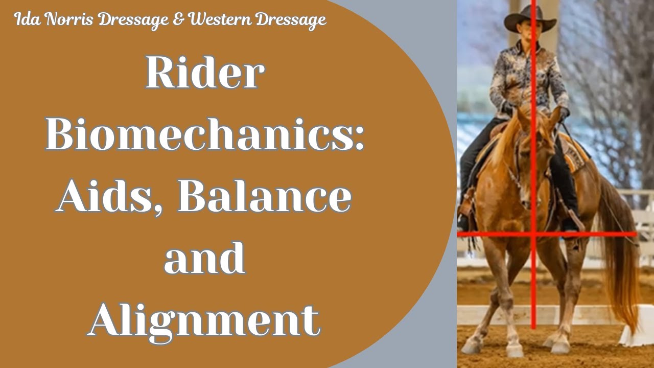 Rider Biomechanics: Aids, Balance and Alignment - YouTube