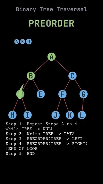 Binary Tree Traversal PREORDER - YouTube