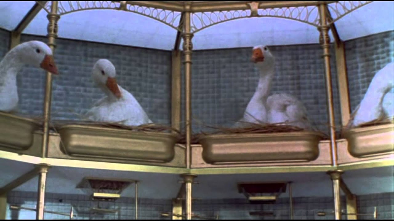 Veruca, Primus, Willy Wonka and the Chocolate Factory - YouTube