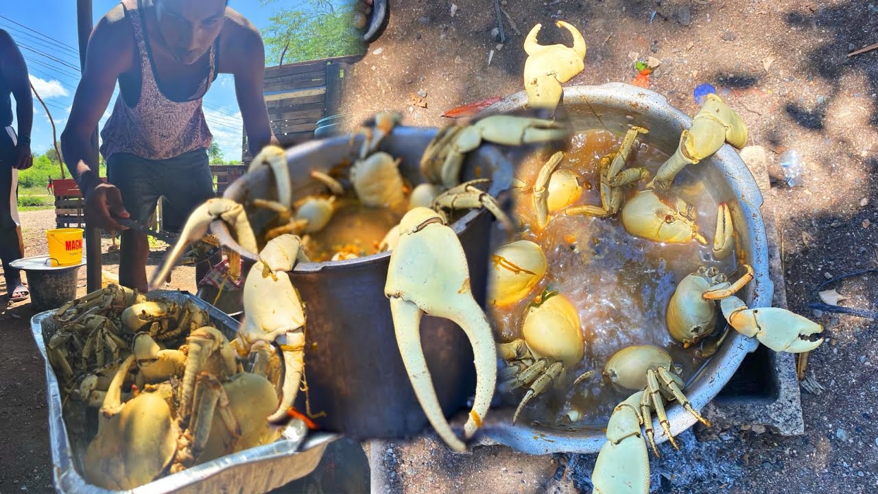 JAMAICAN STYLE CRAB COOKOUT!! 🇯🇲| sharing with the whole family - YouTube