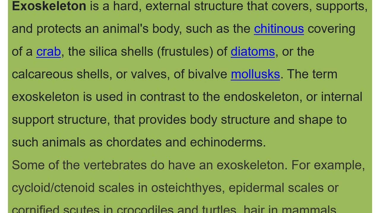 Exoskeleton in vertebrates - YouTube