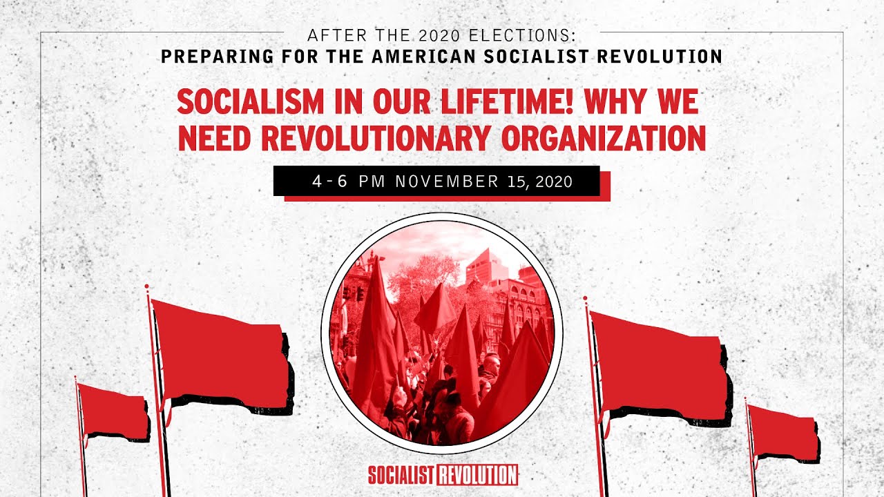 Socialism in Our Lifetime! Why We Need a Revolutionary Organization ...
