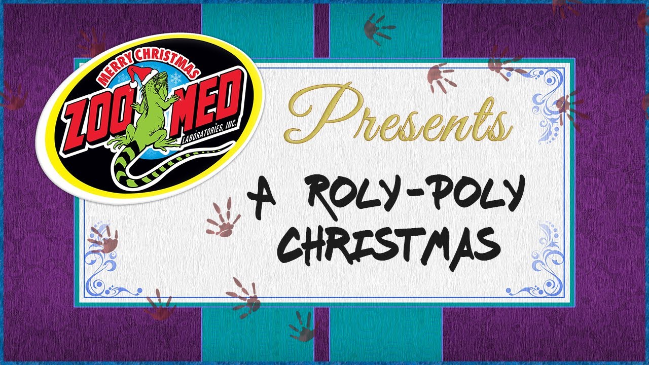Zoo Med Presents 'A Roly-Poly Christmas' - YouTube
