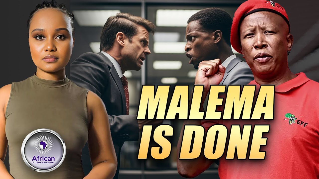 'Julius Malema Is DONE!' A Racial Attack At Work Prompts South Africans ...