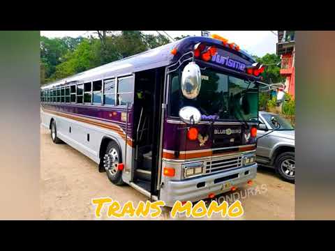 Buses de honduras - YouTube
