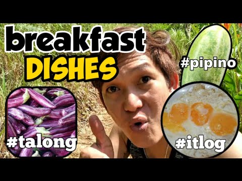 FRIED EGGPLANT , CUCOMBER and EGG FOR BREAKFAST ( to cook)| Vlog ni kuya MARS - YouTube