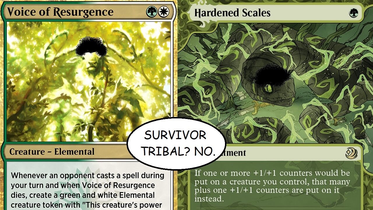 Effie, Fast Learner | New Alchemy Cards - YouTube