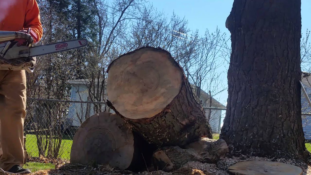 Chainsaw. Echo cs510 - YouTube