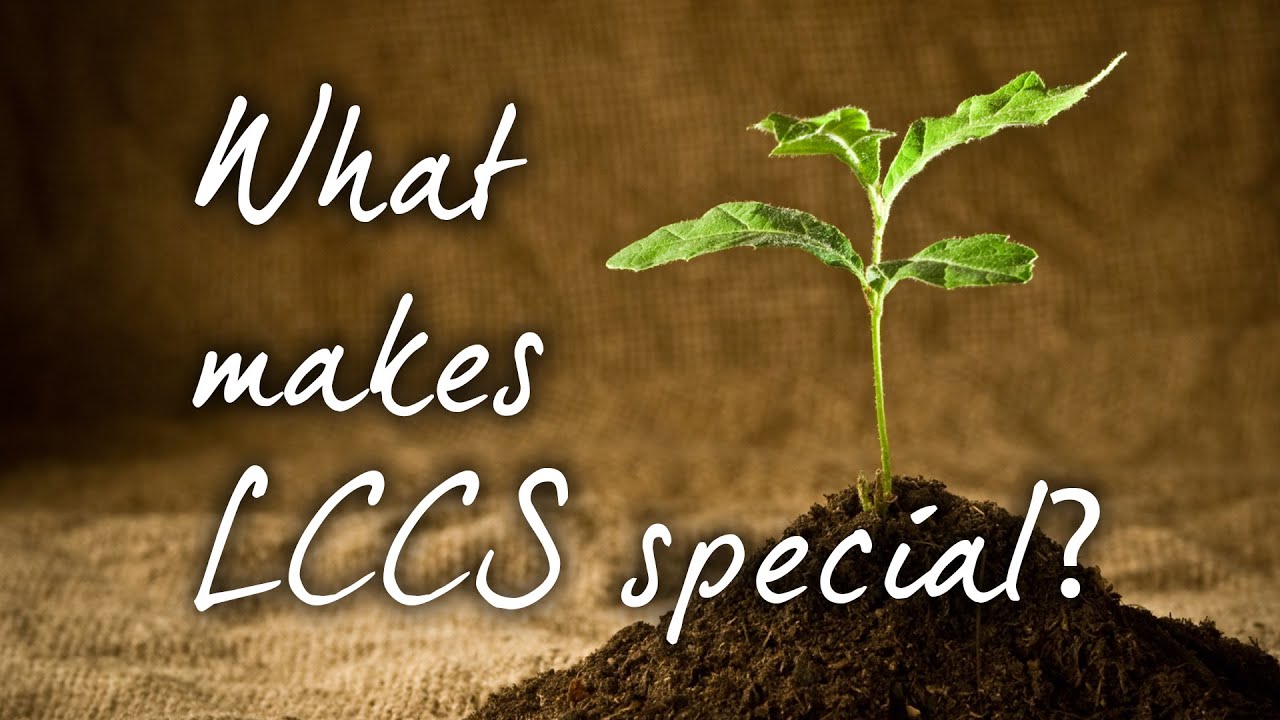 What makes LCCS special? - YouTube