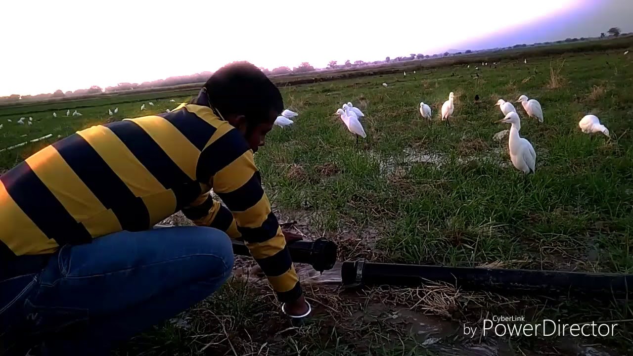 The real agriculture - YouTube