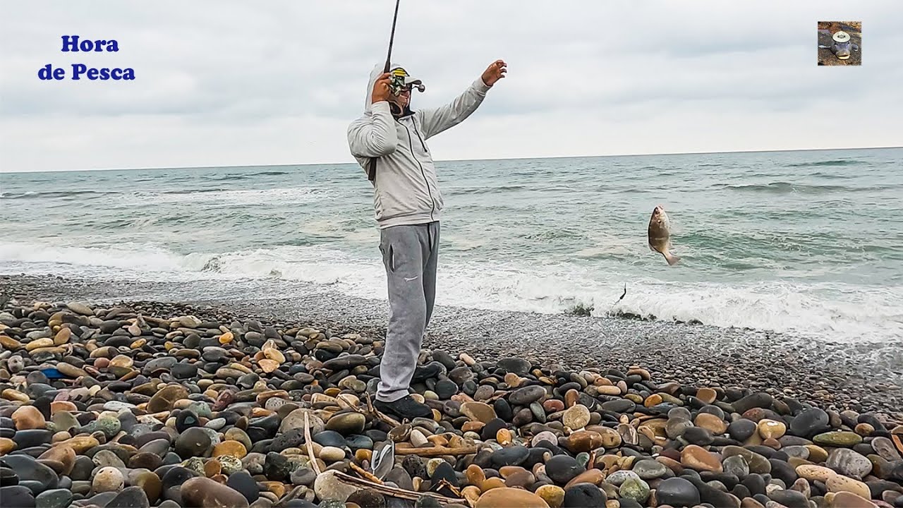 PESCA DE BURROS Y LORNAS CON MARUCHA. || This is how you fish with sand ...