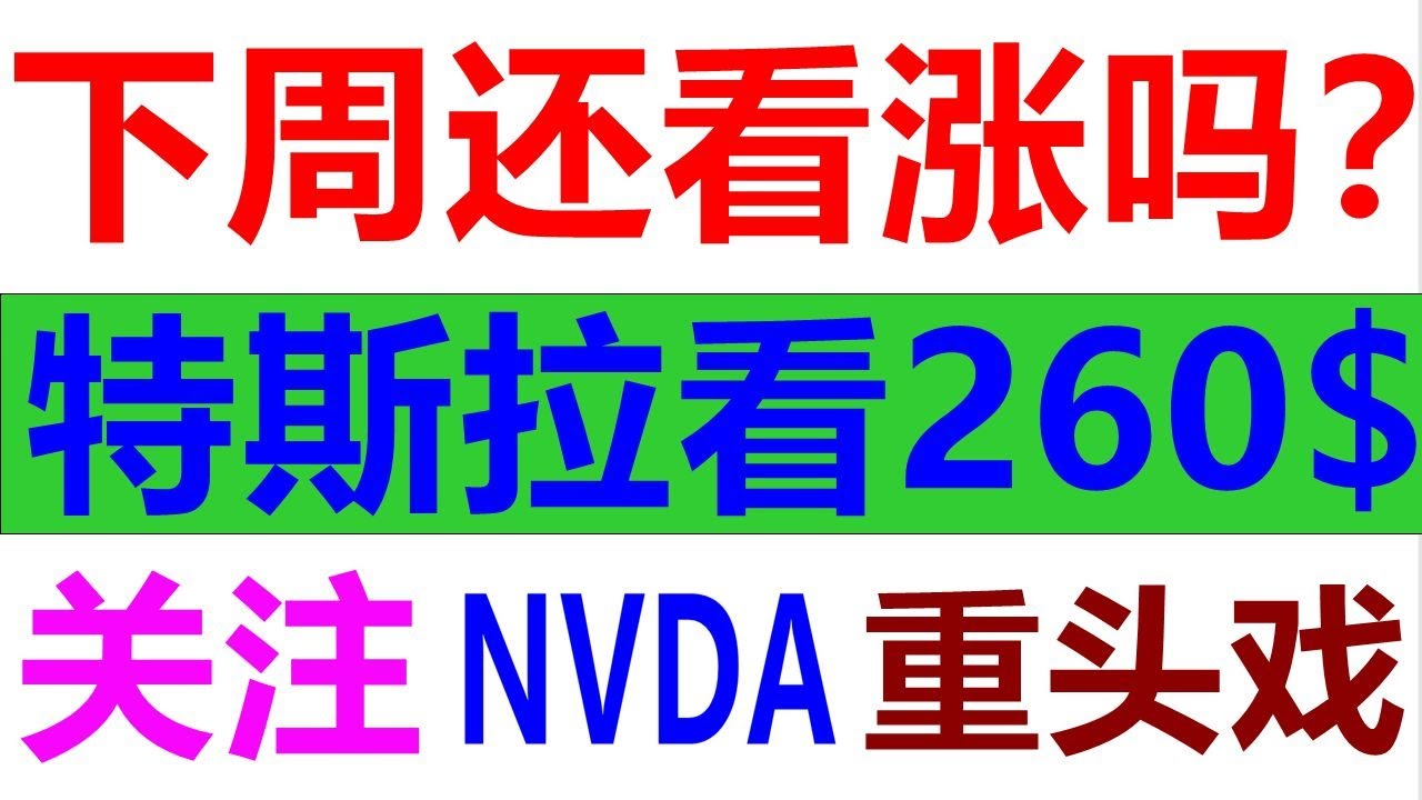 260-spy-qqq-tsla-aapl-nvda-amd-msft-meta-coin