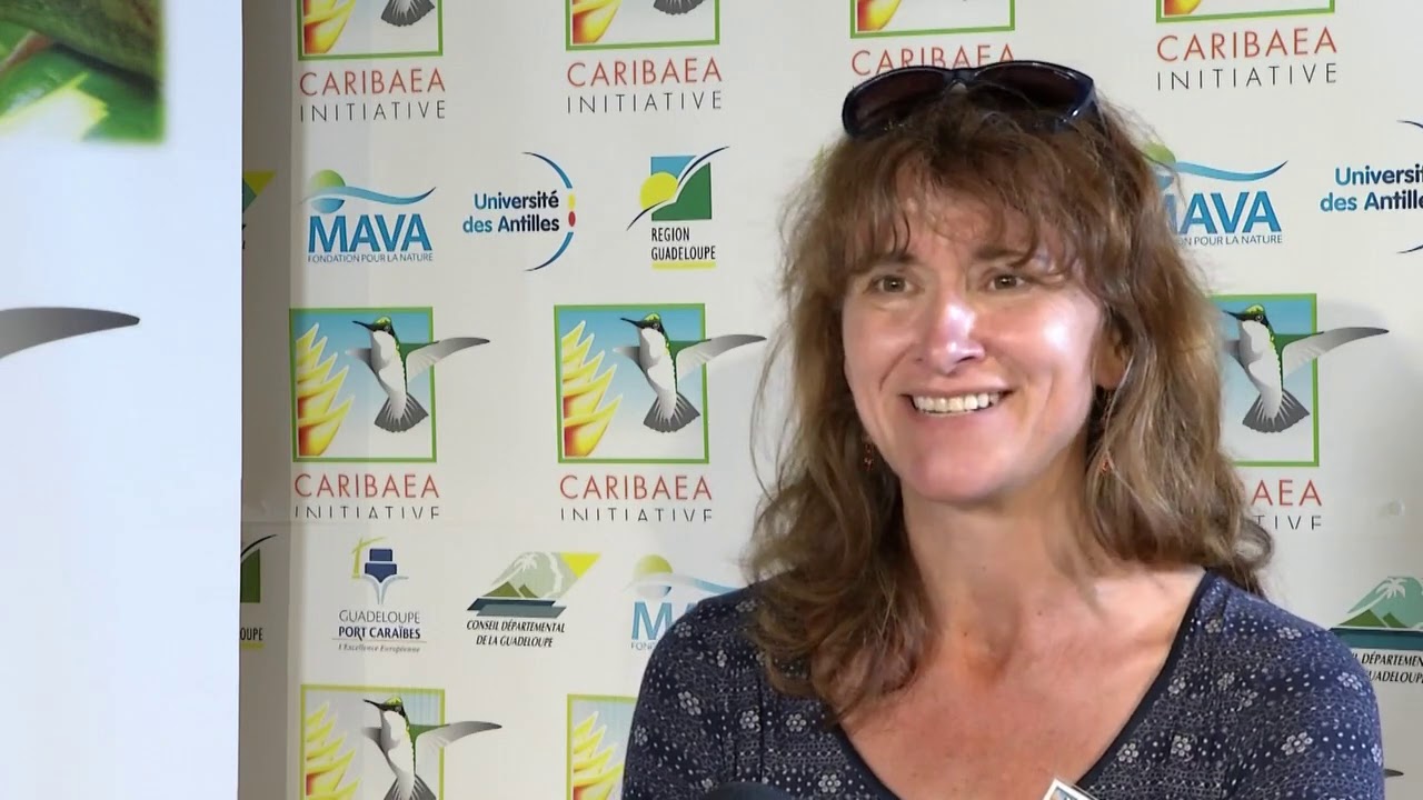 Interview of Dr Jenny Daltry during the Caribaea Initiative annual ...