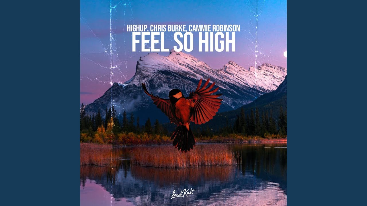 Feel so High - YouTube