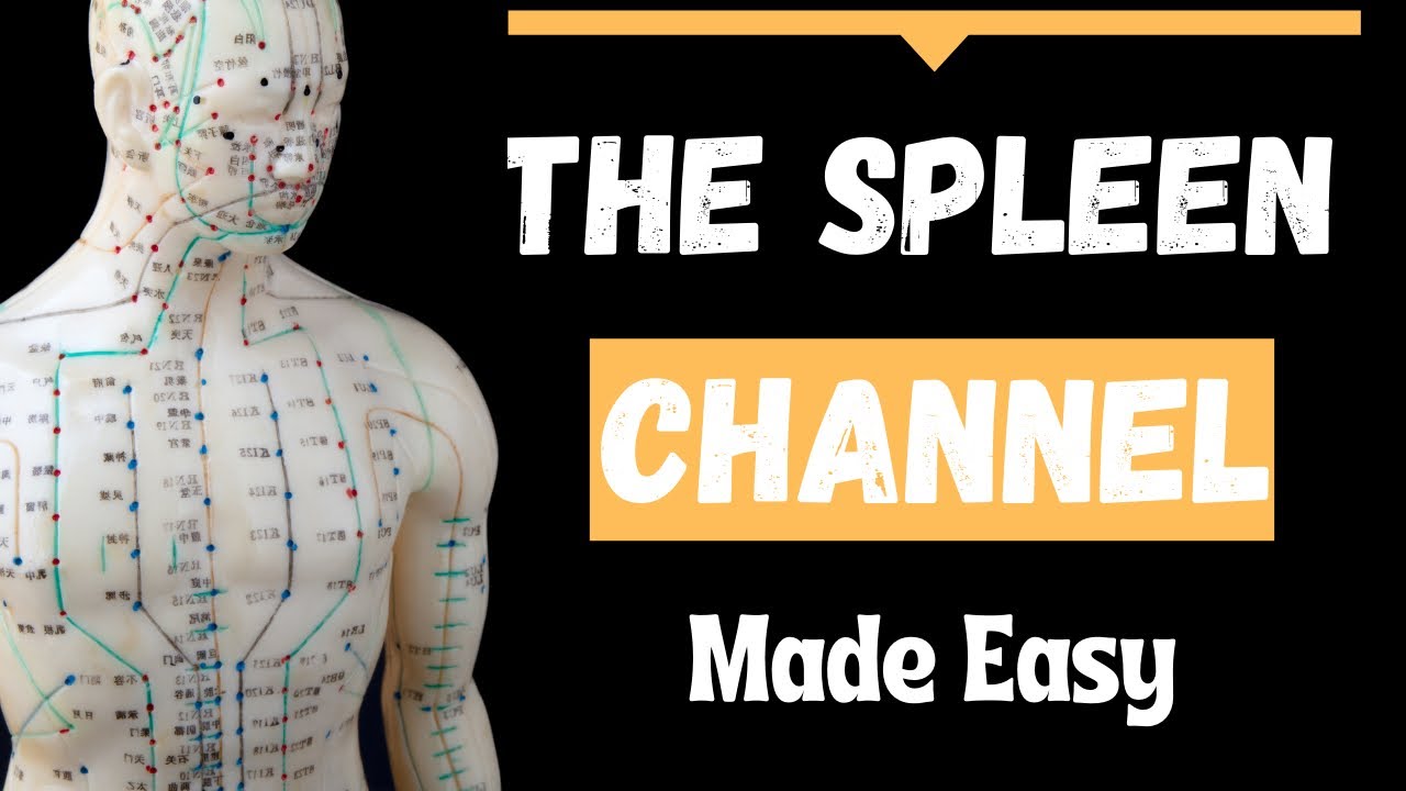 Spleen Meridian - YouTube