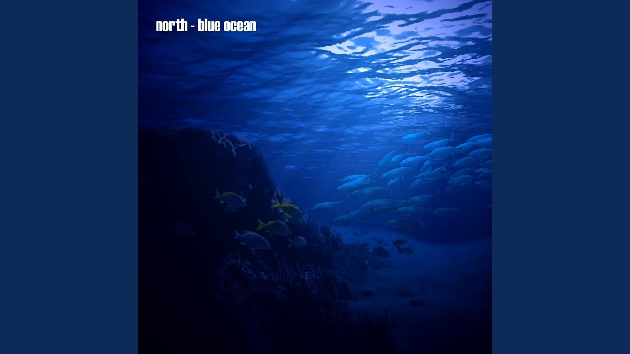 Into the Deep - YouTube