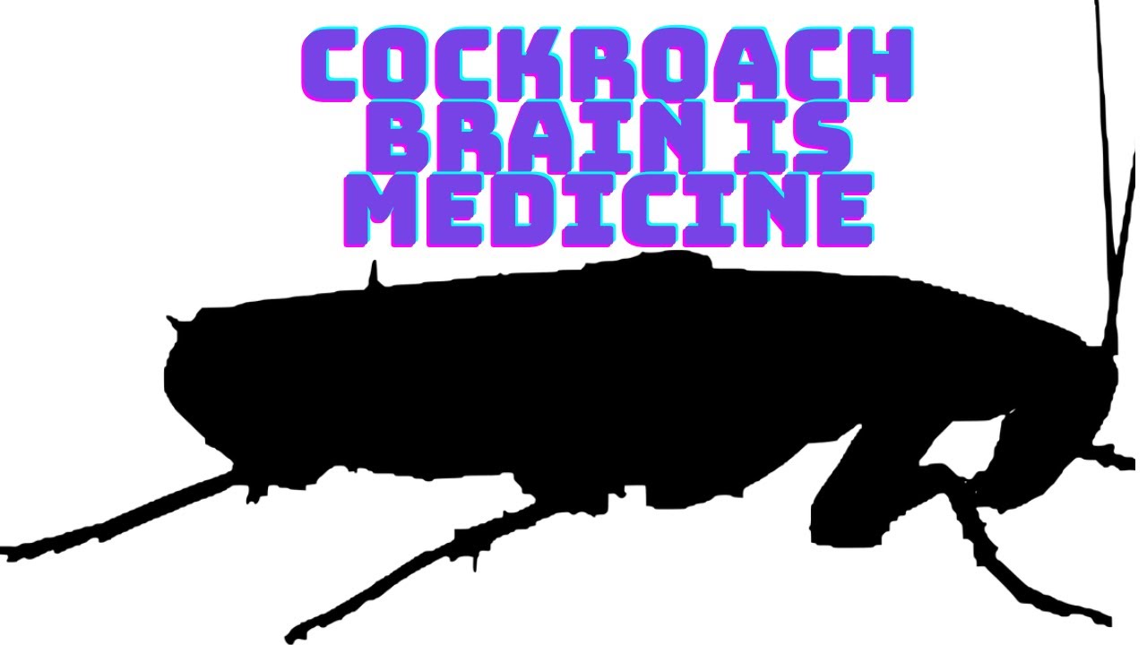 Cockroaches Brain is Medicine|Scientists found medicine in cockroaches ...