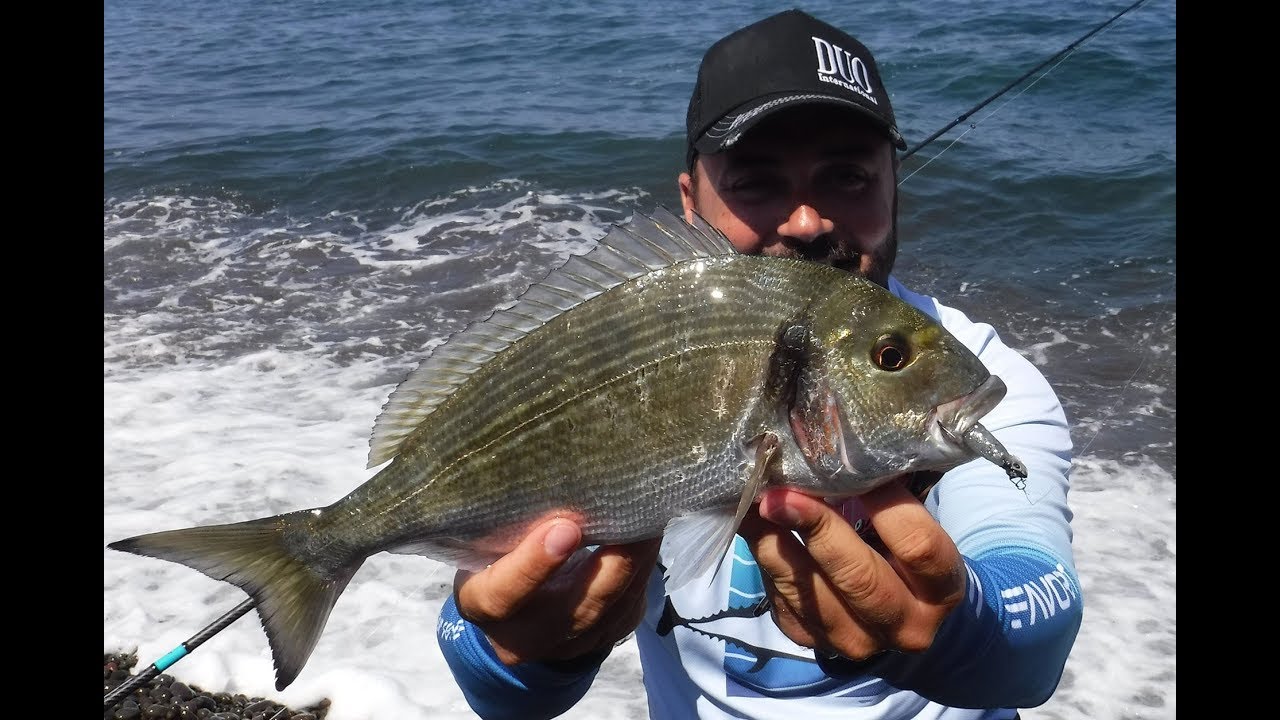 LRF - Ενα όμορφο ψάρεμα με την τεχνική του Light Rock fishing - YouTube