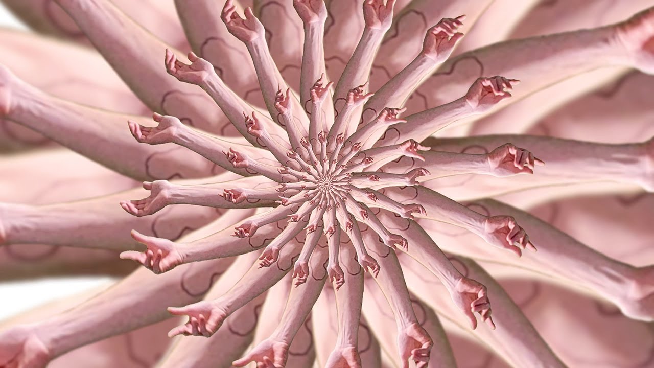 Pouff - Fibonacci Arms - YouTube