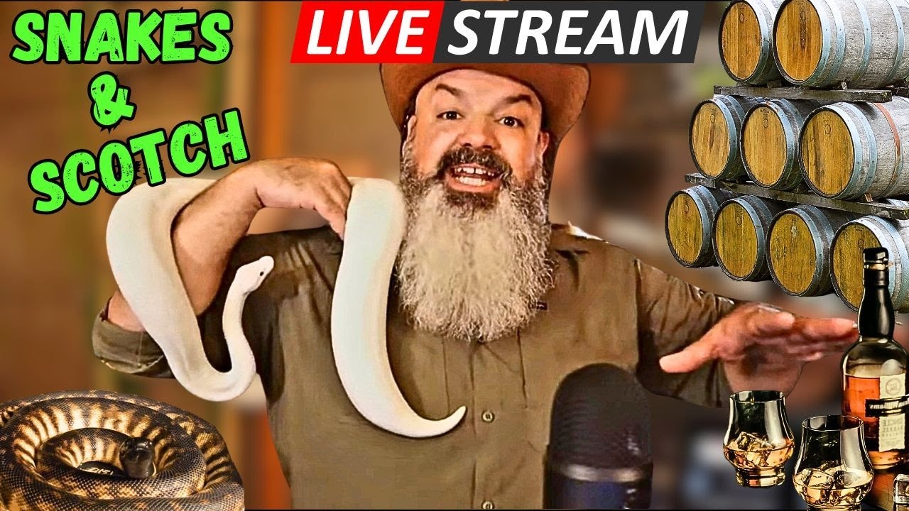 Snakes & Scotch Livestream 7/11/24: Lots of snake Q&A (and beard Q&A as ...