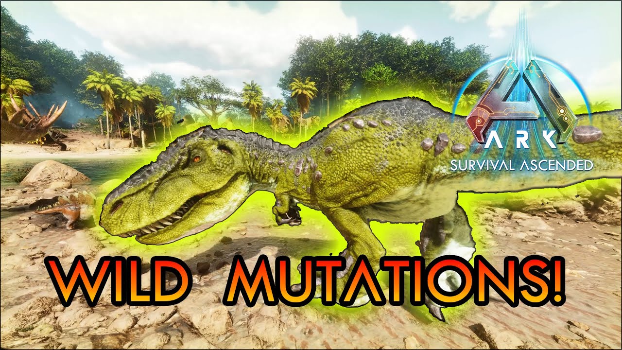 Wild Mutations! Amazing Wild Discovery! Ark Survival Ascended SUPER BABIES! - YouTube