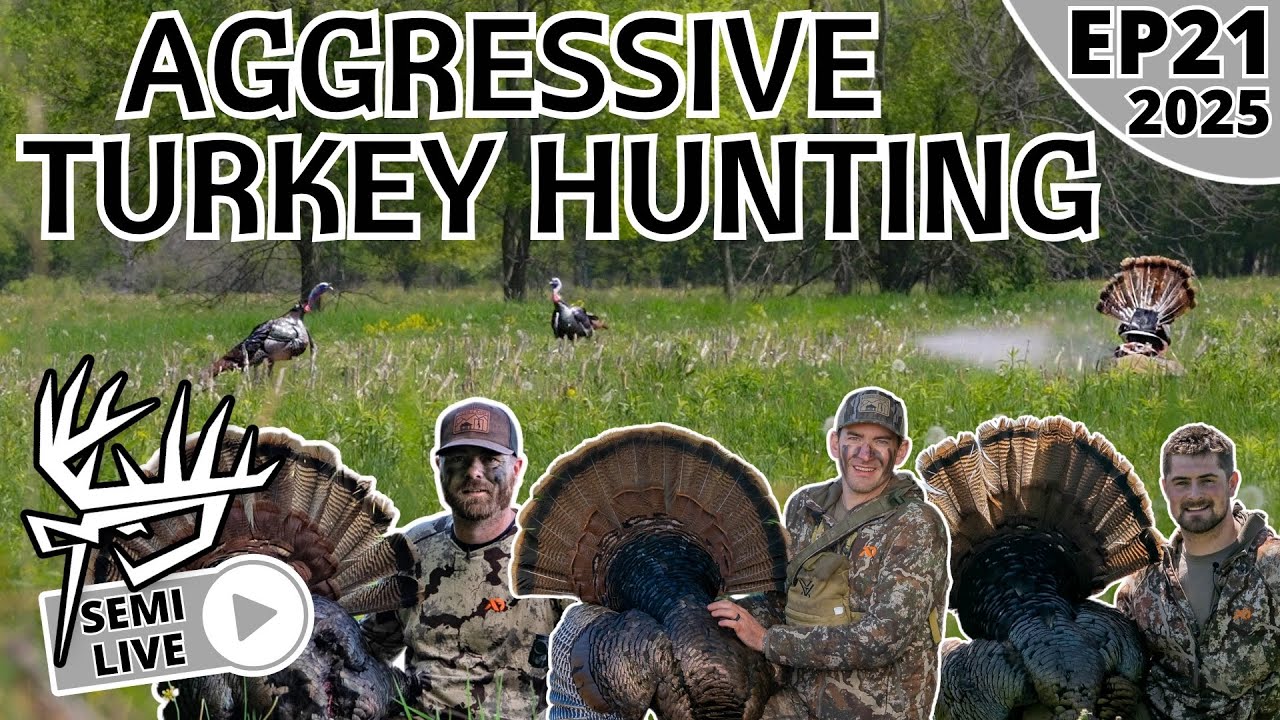 Reaping Turkeys | WISCONSIN Turkey Hunting - YouTube