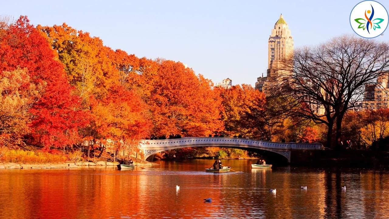 Beautiful Relaxing Hymns, Peaceful Piano & Fall Music, "Relax Autumn ...