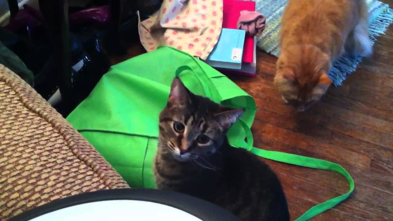 Meowing cat clock - YouTube