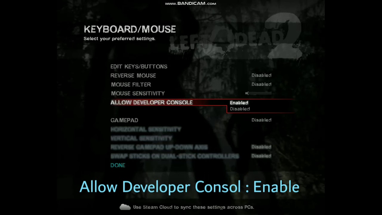 How to invisibale/unlimited ammo in Left 4 Dead 2 _ pixel art - YouTube