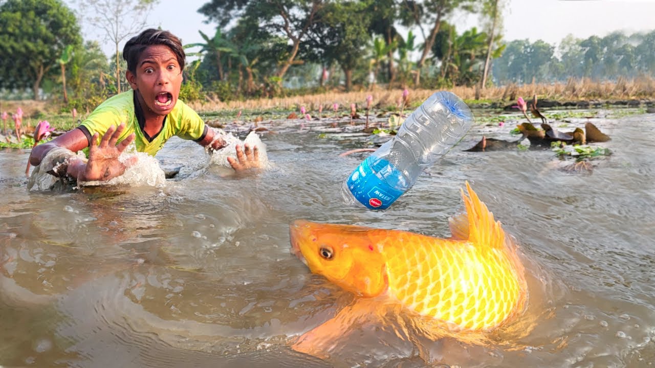 Bottle Fish Trap | Amazing Boy Catch Fish With Plastic Bottle - YouTube