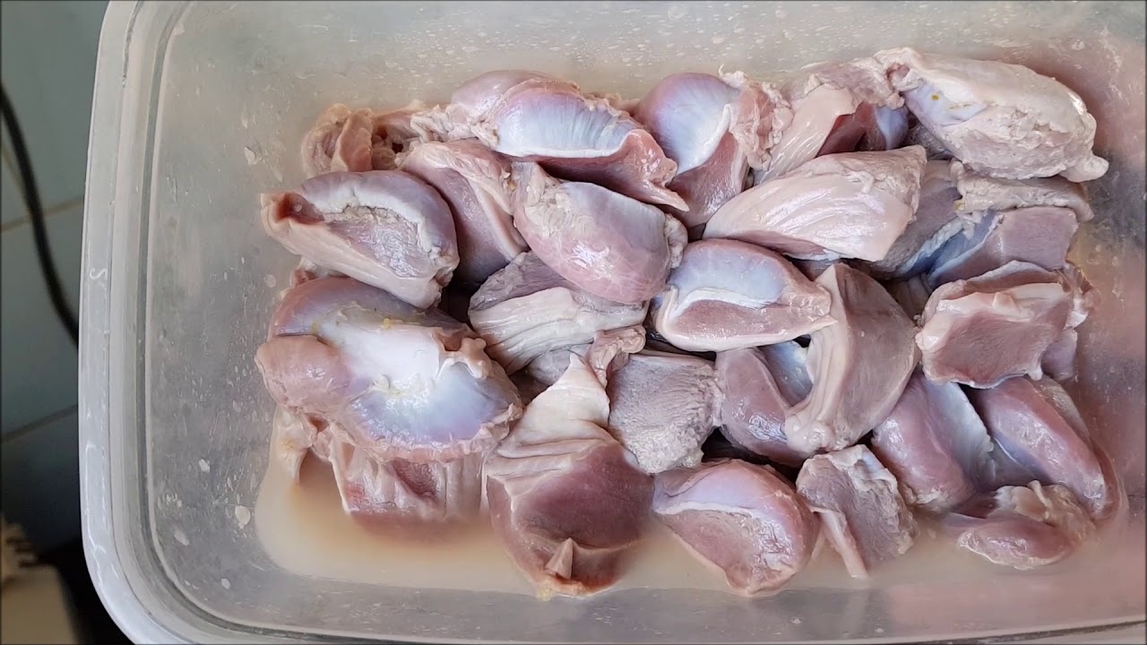 MOELA DE FRANGO BEM EXPLICADINHO - YouTube