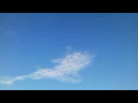 Koray Avcı adaletin bumu dünya