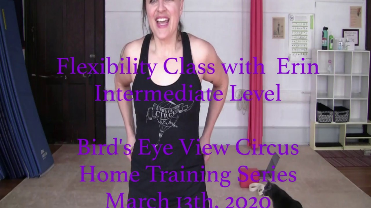 Intermediate Level Flexibility Class with Erin - YouTube
