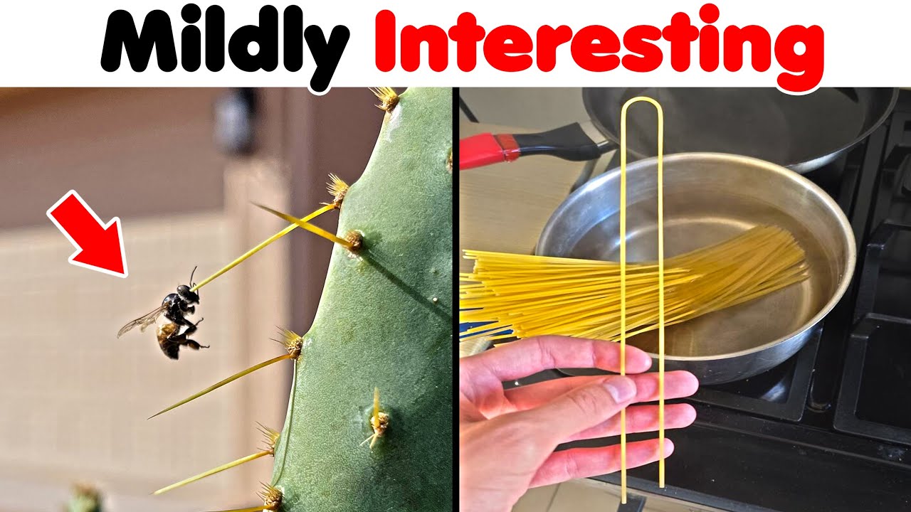 Mildly Interesting Photos You Need To See! - YouTube