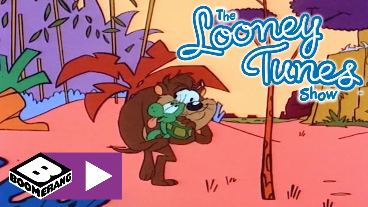 Taz-Mania | Taz ve Ailesi | Boomerang - YouTube
